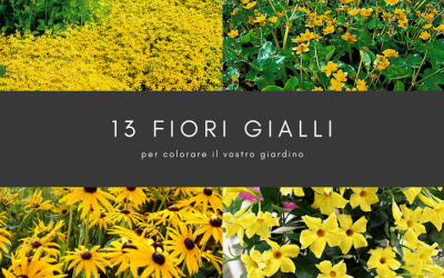 Fai da te in giardino | Il tuo giardinaggio spiegato passo-passo