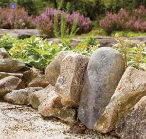 Giardino roccioso | Come progettare al meglio un rock garden spettacolare