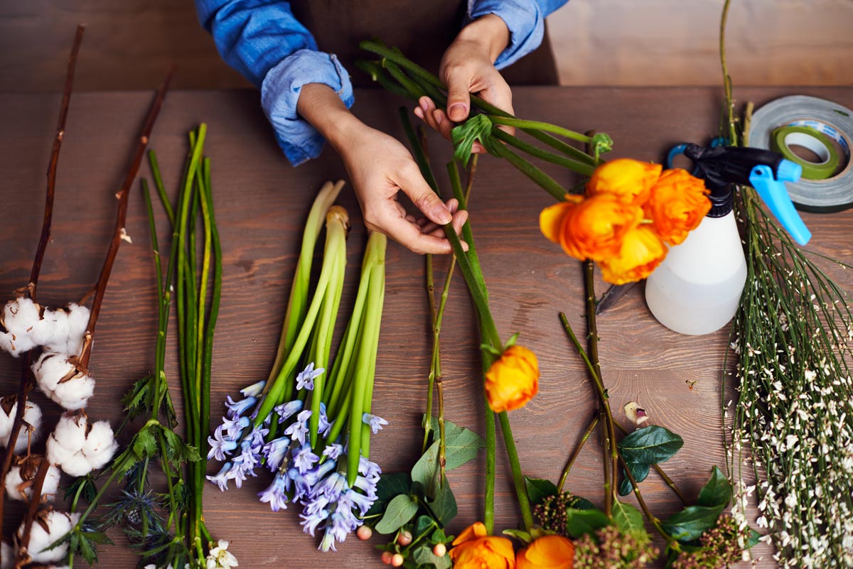 14 fiori blu per tutte le stagioni: dalla primavera all'inverno