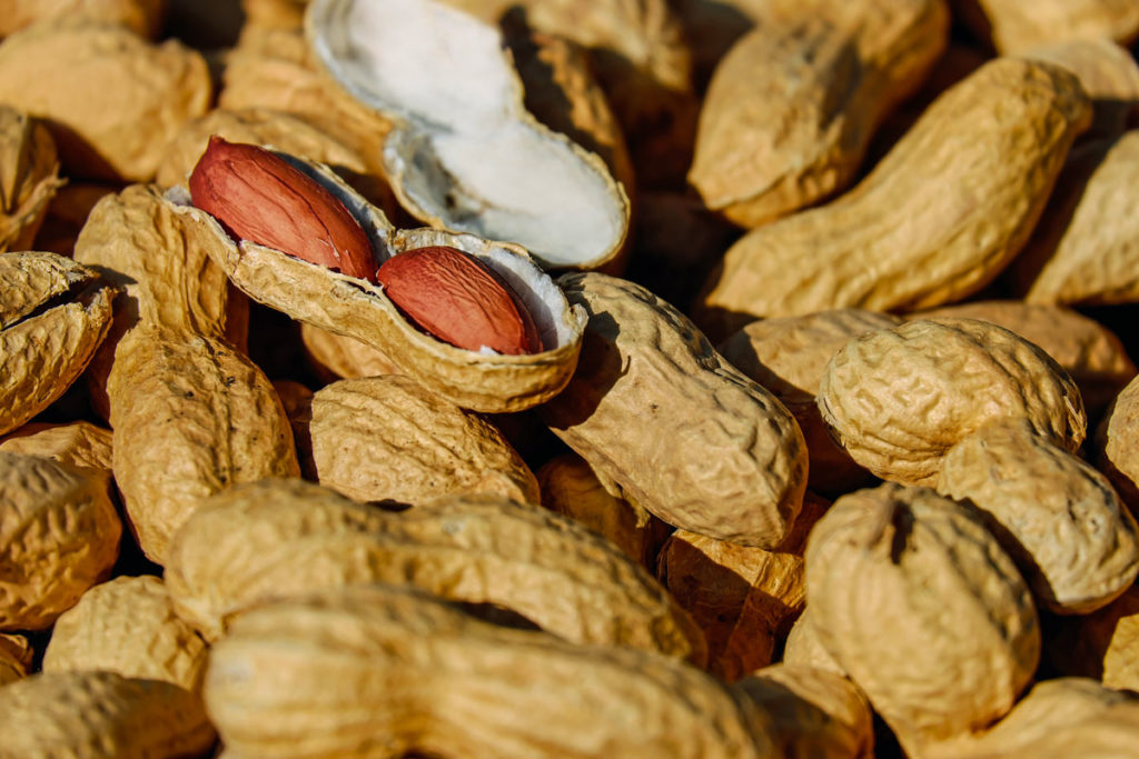 Arachide | Coltivazione e valori nutrizionali delle noccioline americane